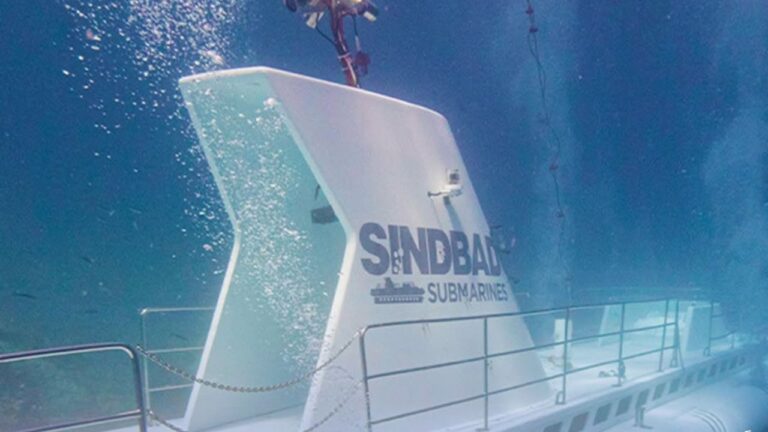 At least 6 tourists died after the Sinbad tourist submarine sank in ...