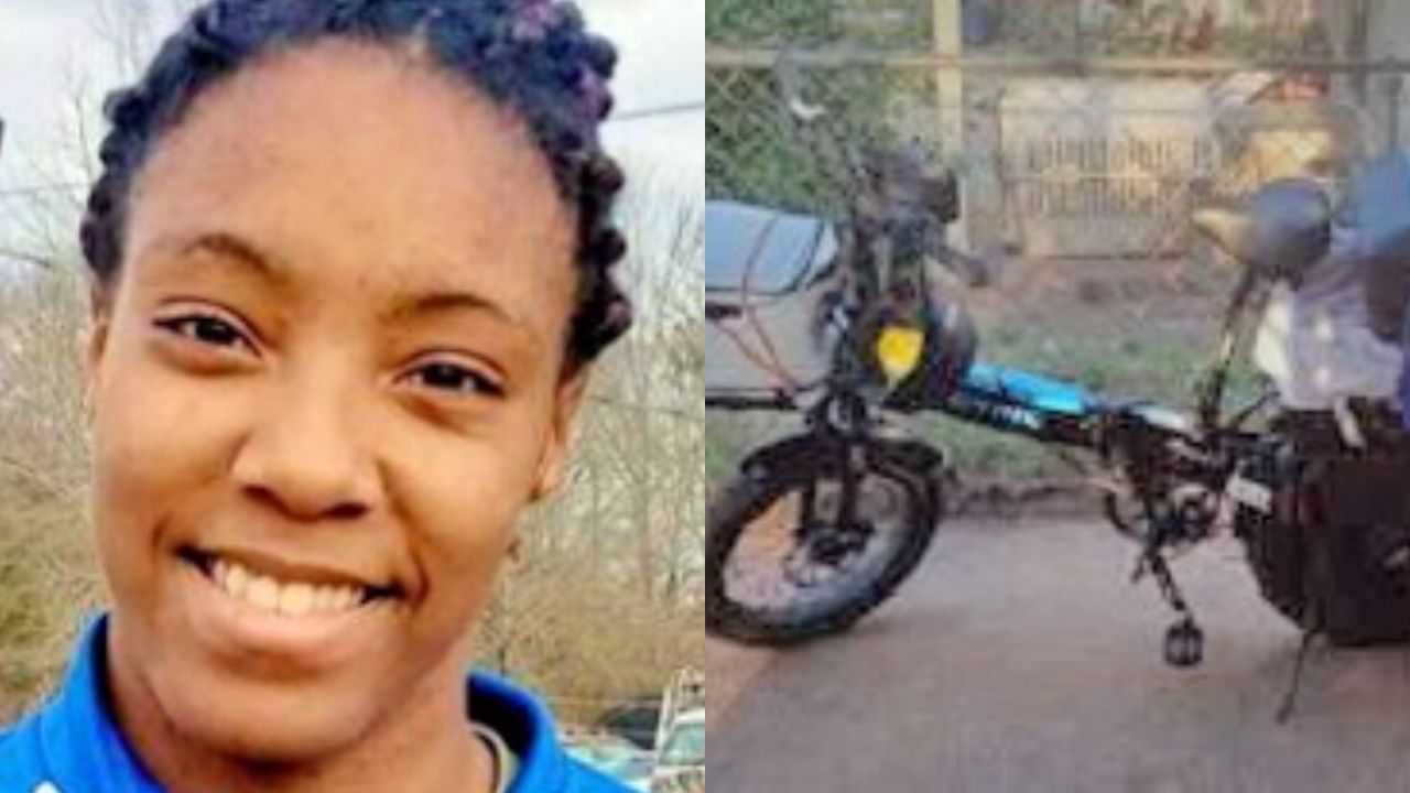 Woman missing in the California mountains is found alive two weeks ...