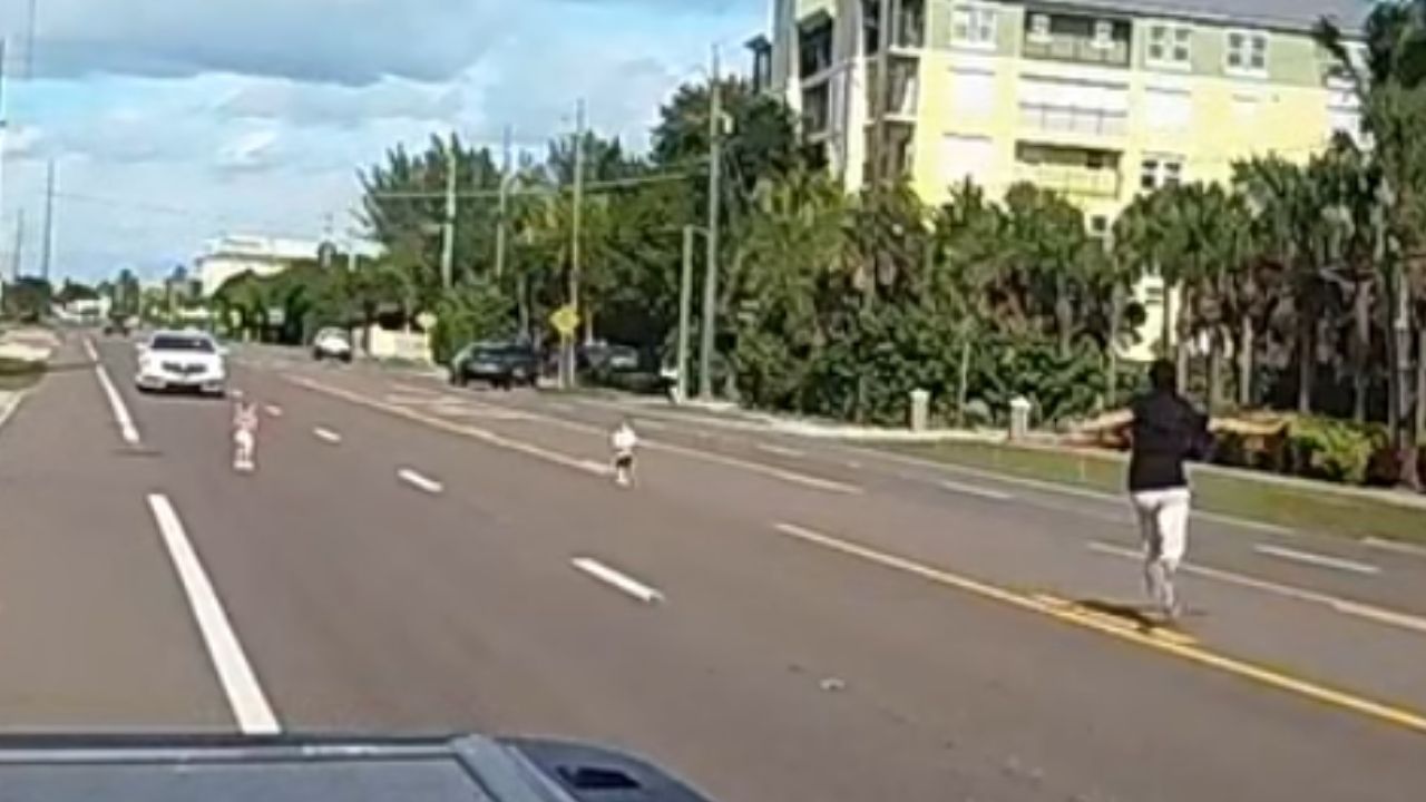 Man rescues two children who were walking alone on a busy Florida ...